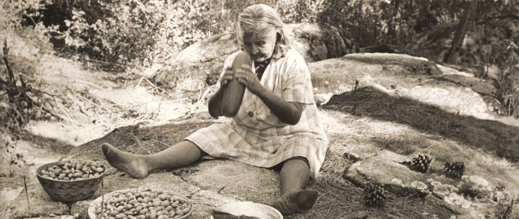 The Tuolumne Band of Me-Wuk Indians – Tuolumne Me-Wuk Tribal Council